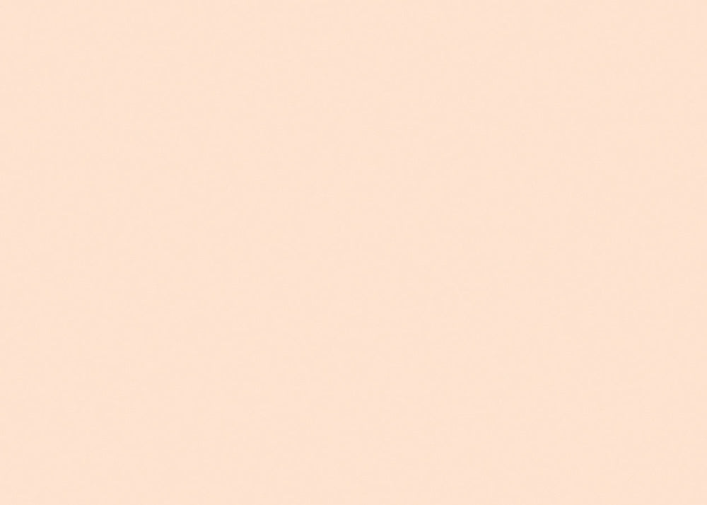 Medea NuWorlds Paint Light Neutral Flesh 1 oz — Midwest Airbrush Supply Co