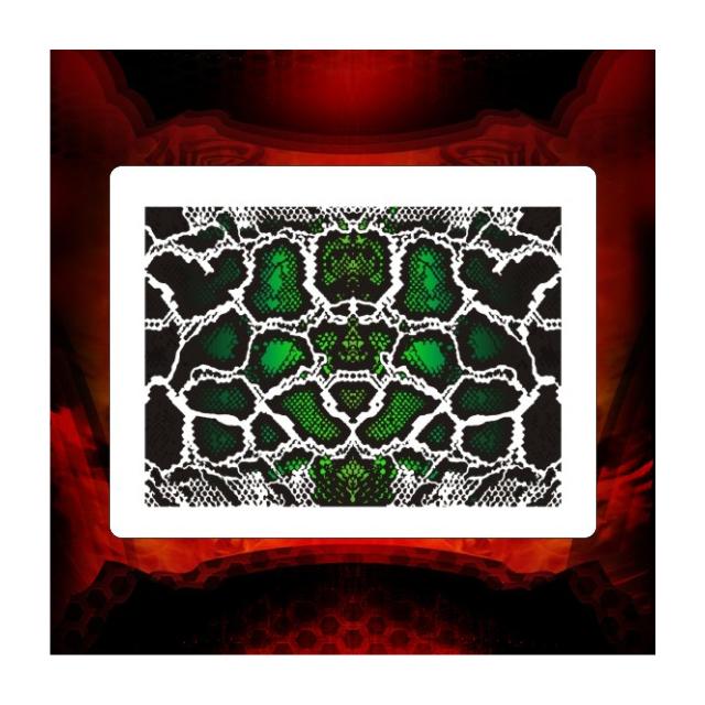 Professional Airbrush Stencil - SNS1 - SNAKE SKIN — Midwest Airbrush ...