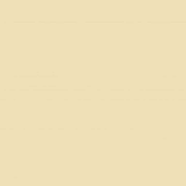 Radome Tan FS 33613 — Midwest Airbrush Supply Co